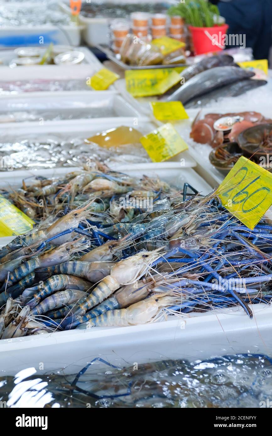Fresh river shrimp in seafood market Stock Photo - Alamy