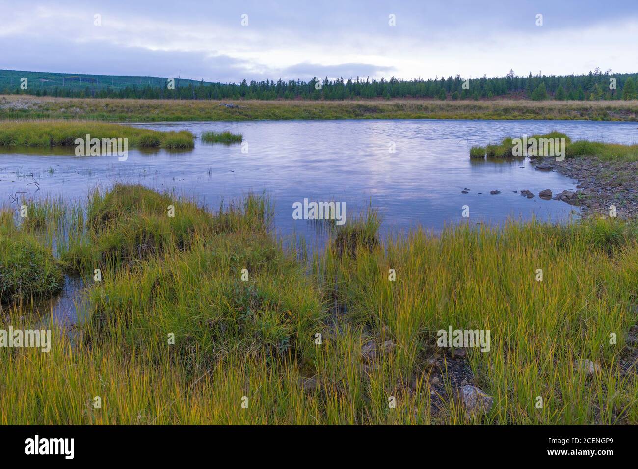 nature of the north Stock Photo - Alamy