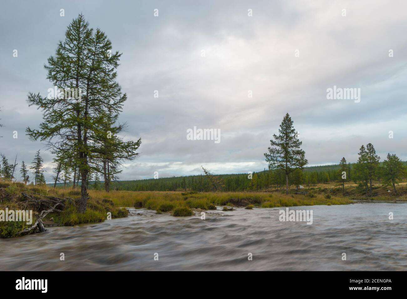 nature of the north Stock Photo - Alamy