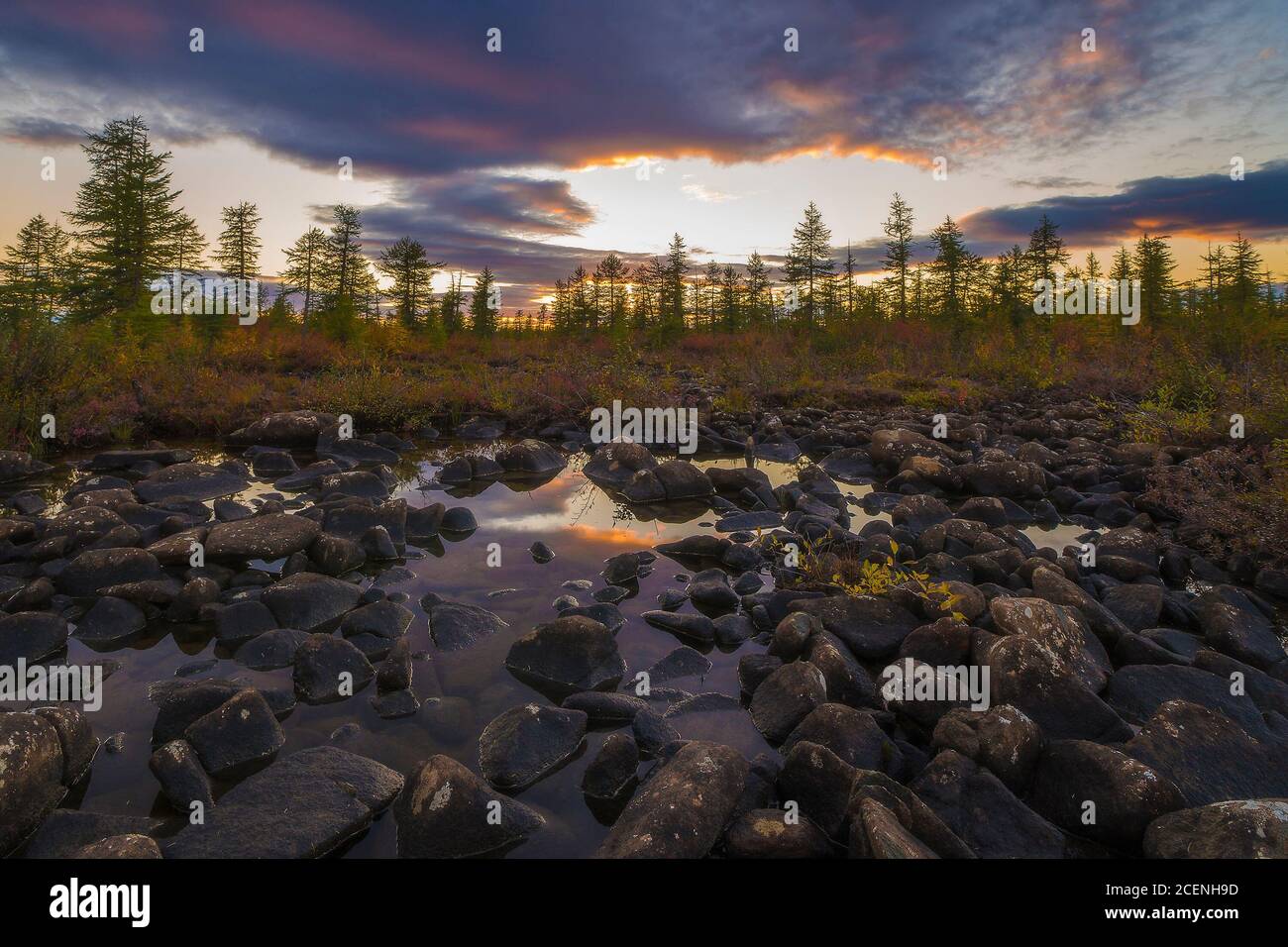 nature of the north Stock Photo - Alamy