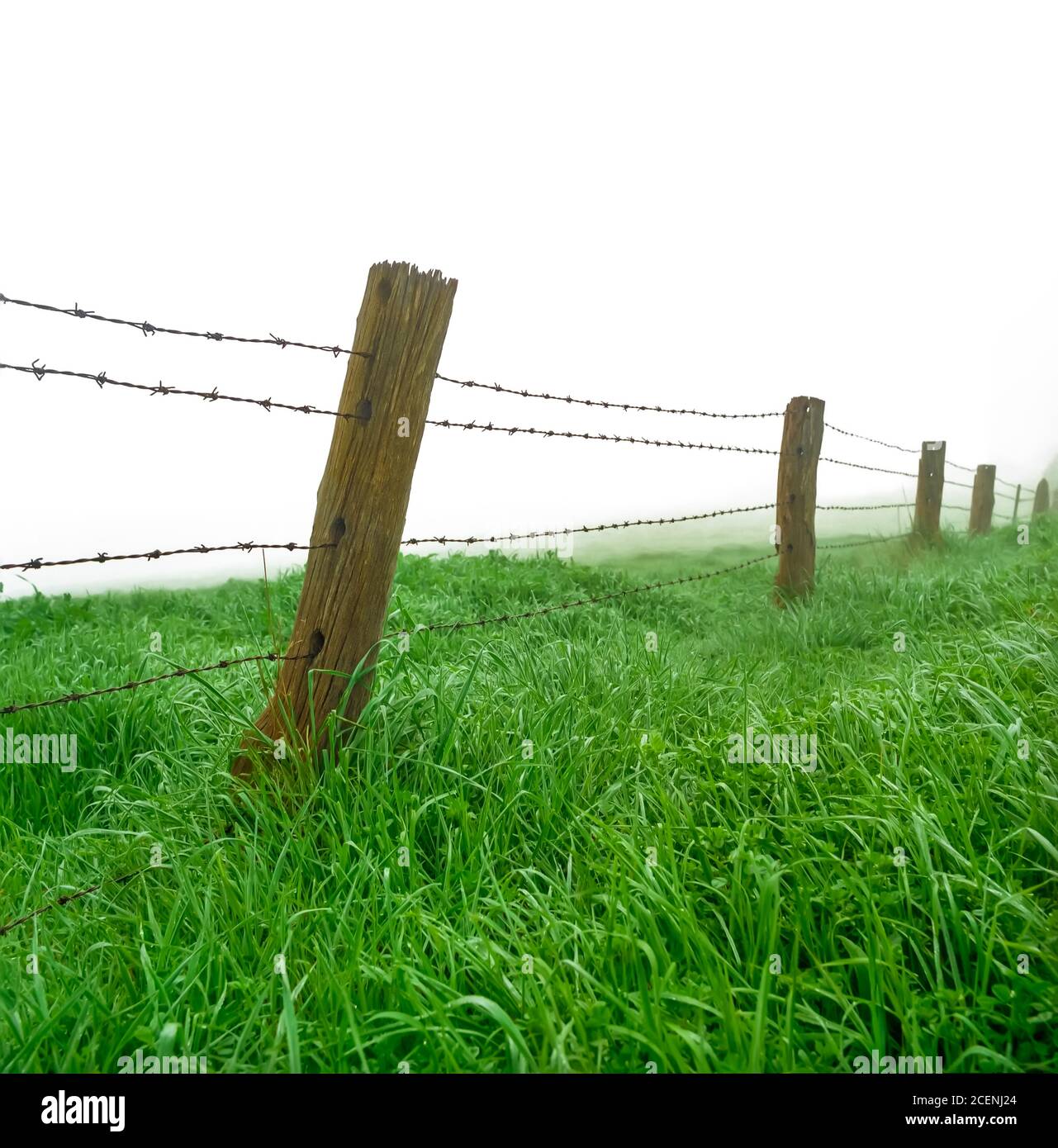 Fog entry hi-res stock photography and images - Alamy