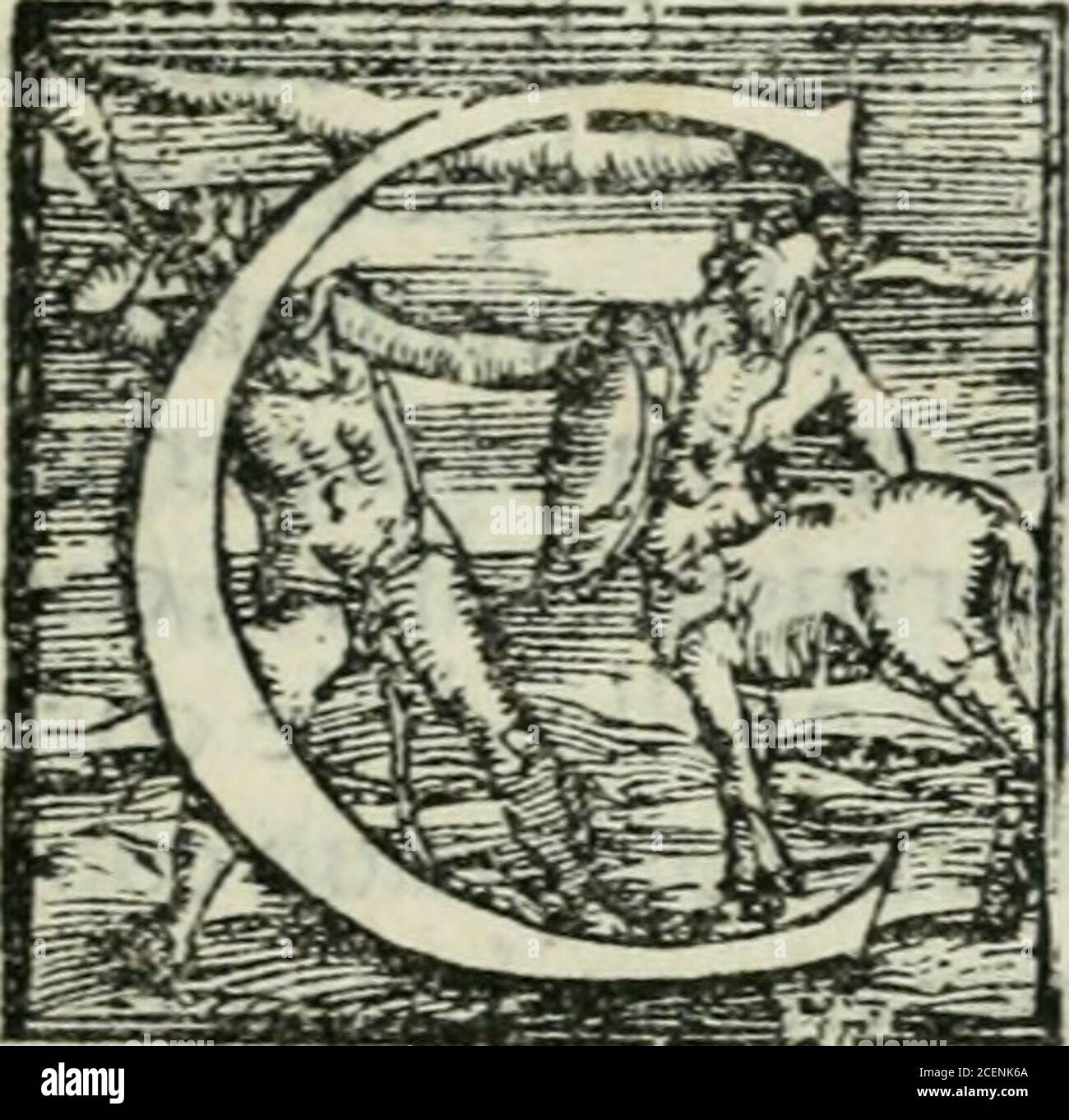 12 disegni hi-res stock photography and images - Alamy