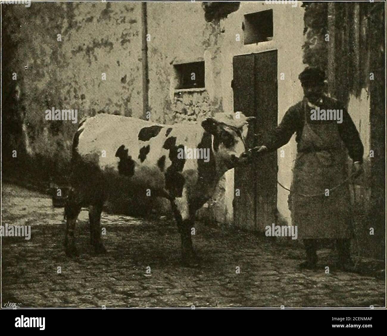 Milkis hi-res stock photography and images - Alamy