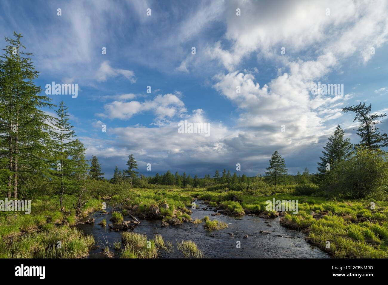 Summer day landscape with river, forest, clouds on the blue sky and sun ...
