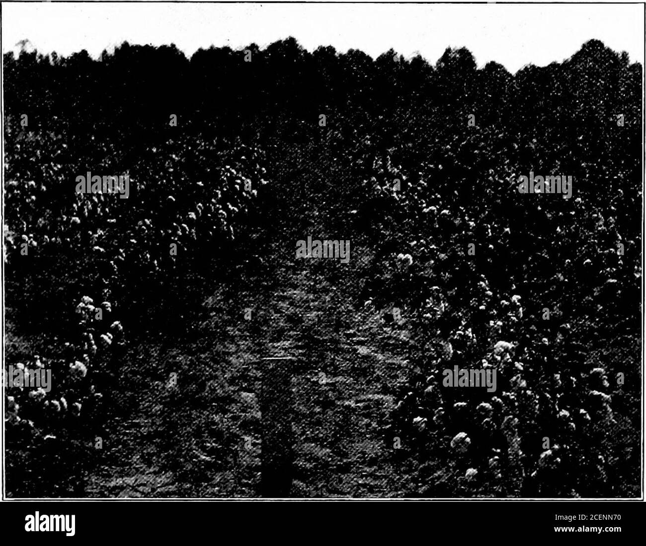 Number 1161 hi-res stock photography and images - Alamy
