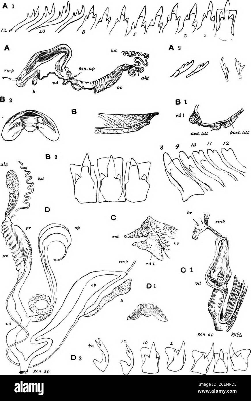 Very small aperture terminal Black and White Stock Photos & Images - Alamy