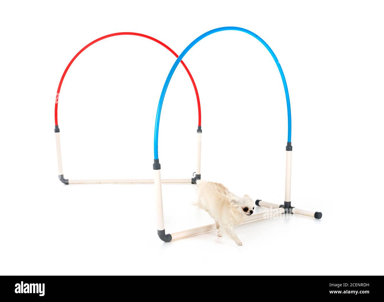 hooper training in front of white background Stock Photo - Alamy