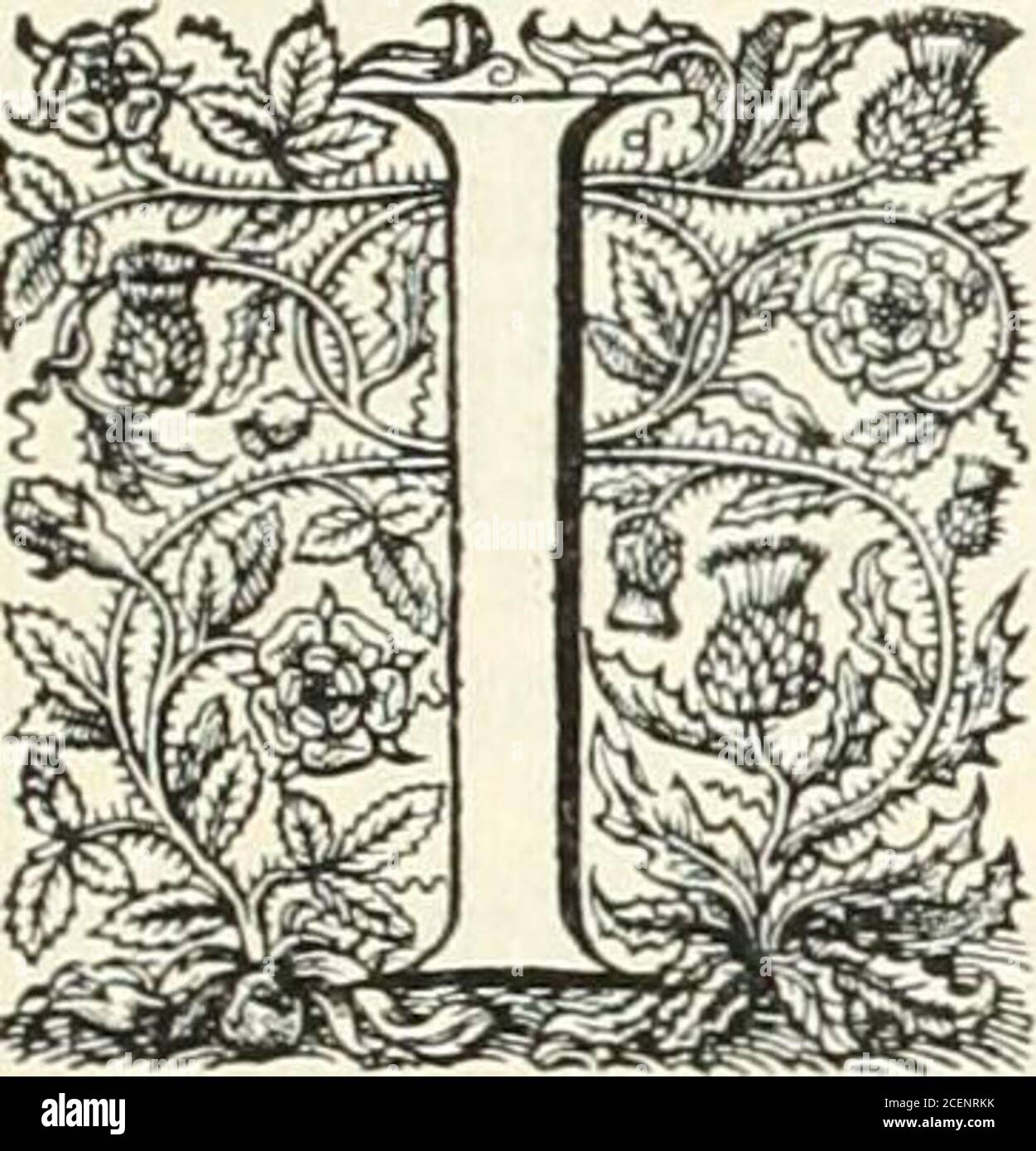 God firmament waters hi-res stock photography and images - Alamy