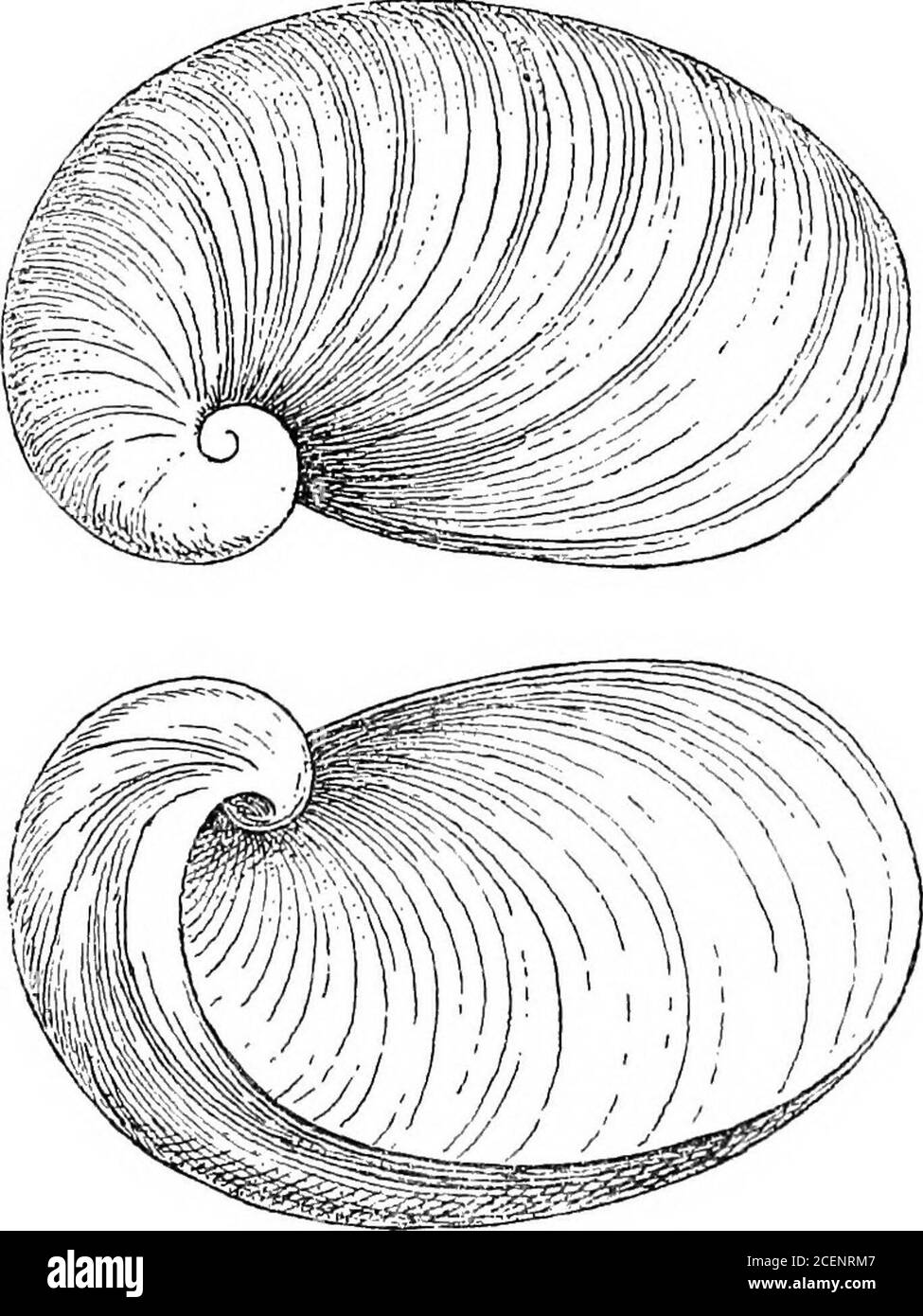 350 pi Black and White Stock Photos & Images - Alamy