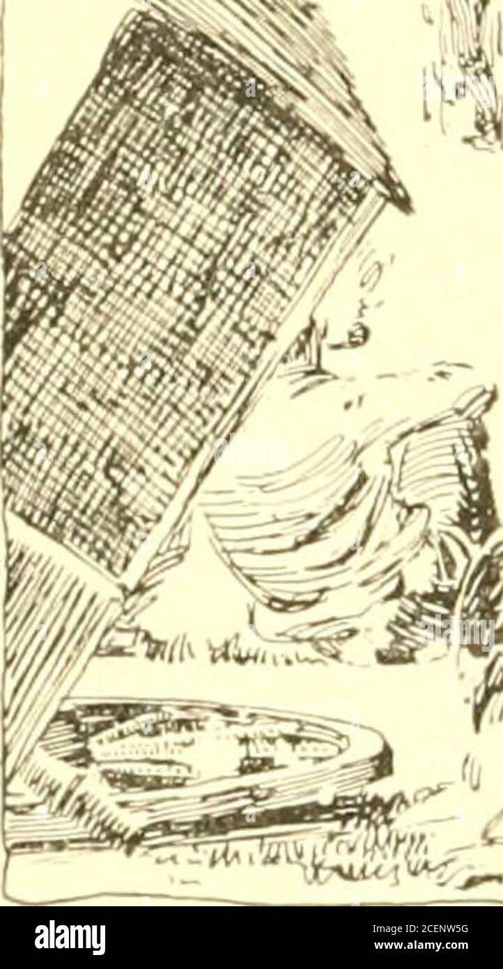 Peddlers wagon hi-res stock photography and images - Alamy