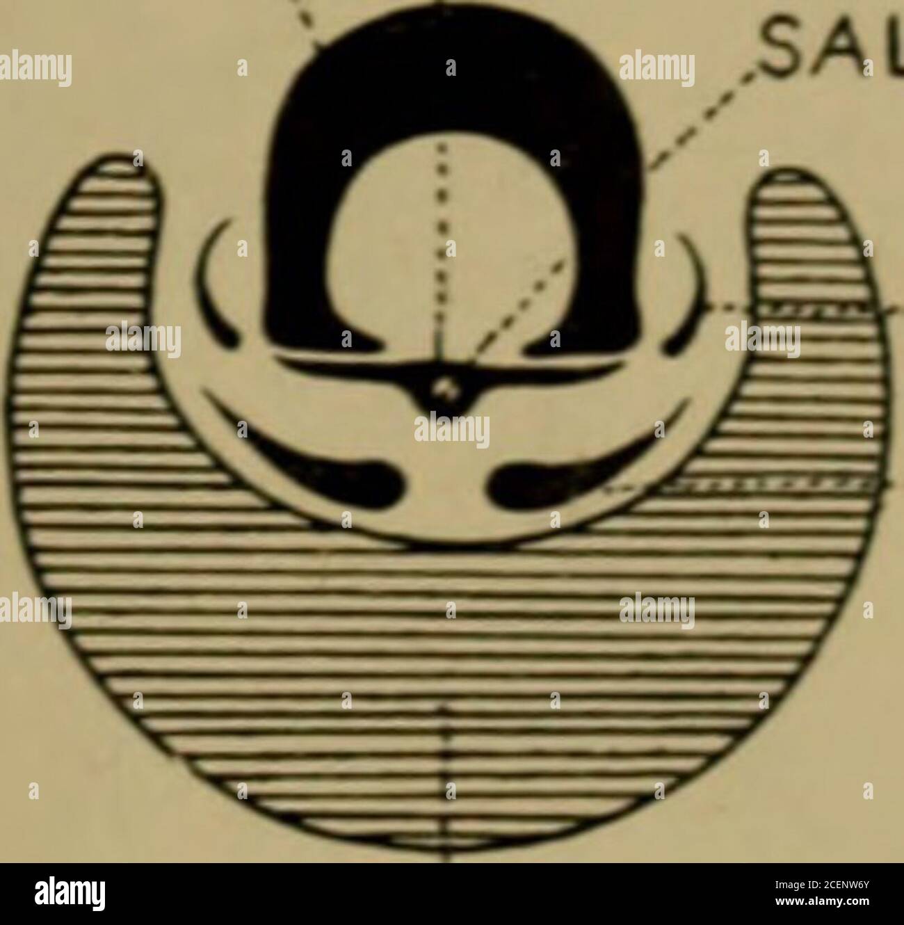 . Guide leaflet. scales.()f the whole bundle of mouth-partsonly the ...