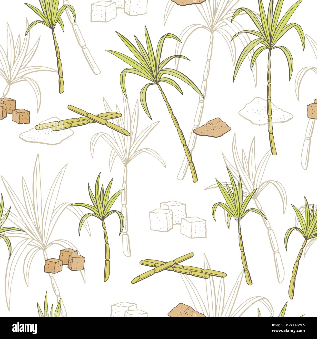 Sugarcane graphic color seamless pattern sketch illustration vector ...
