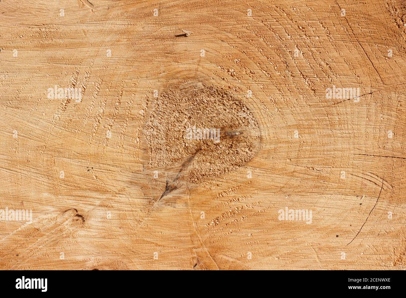 Annual circle hi-res stock photography and images - Alamy