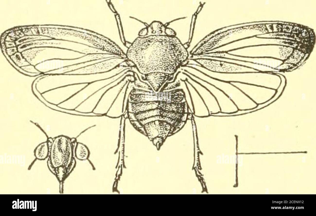 Nof triangular hi-res stock photography and images - Alamy