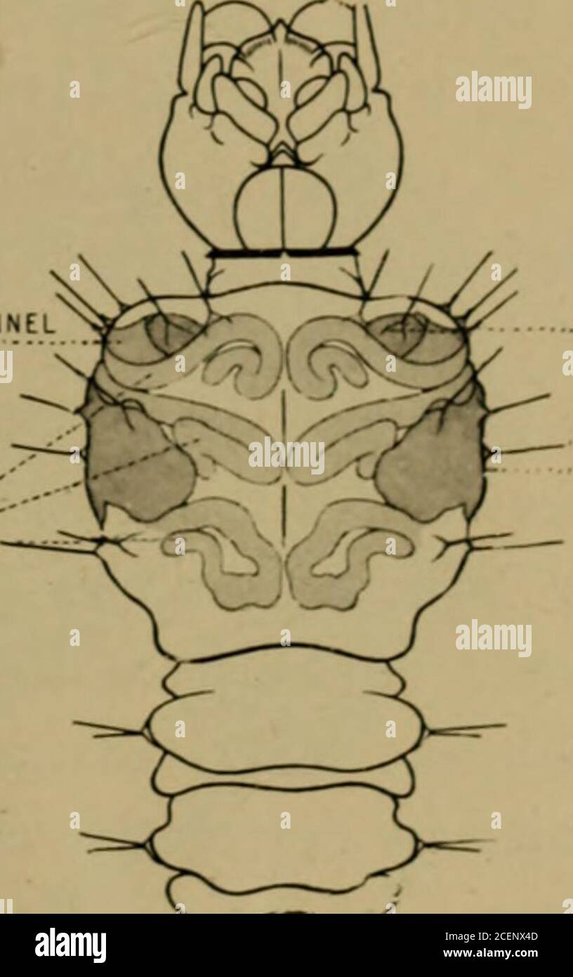 Crimination hi-res stock photography and images - Alamy