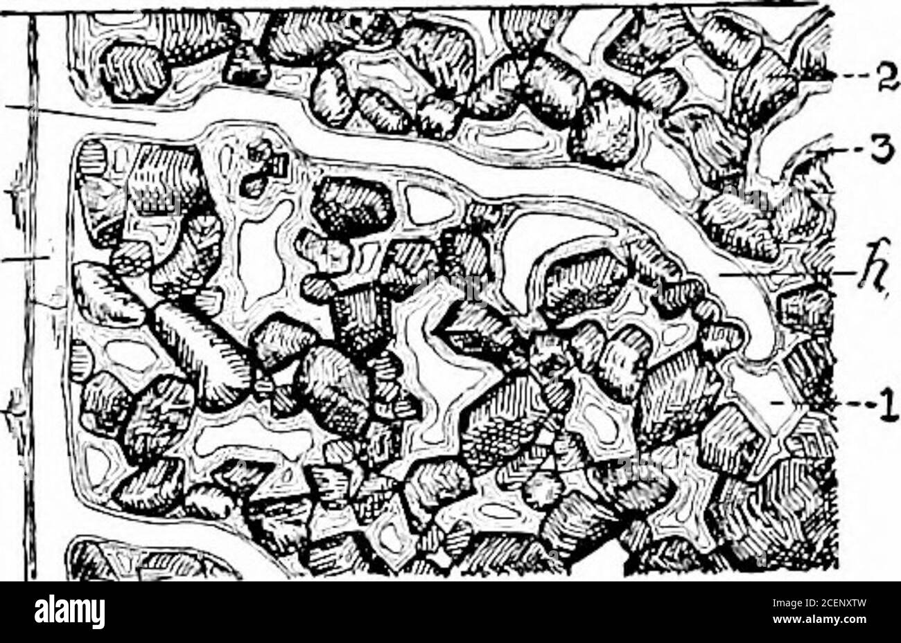 68 movement Cut Out Stock Images & Pictures - Alamy