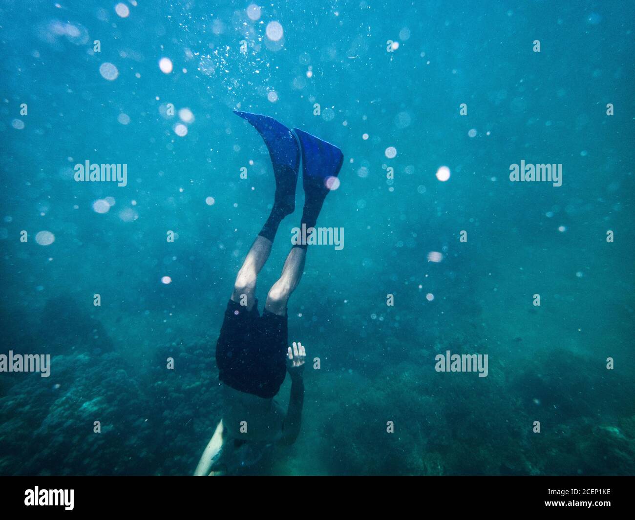 Boy Free Diving Swimming Down Tropical Reef Stock Photo - Alamy