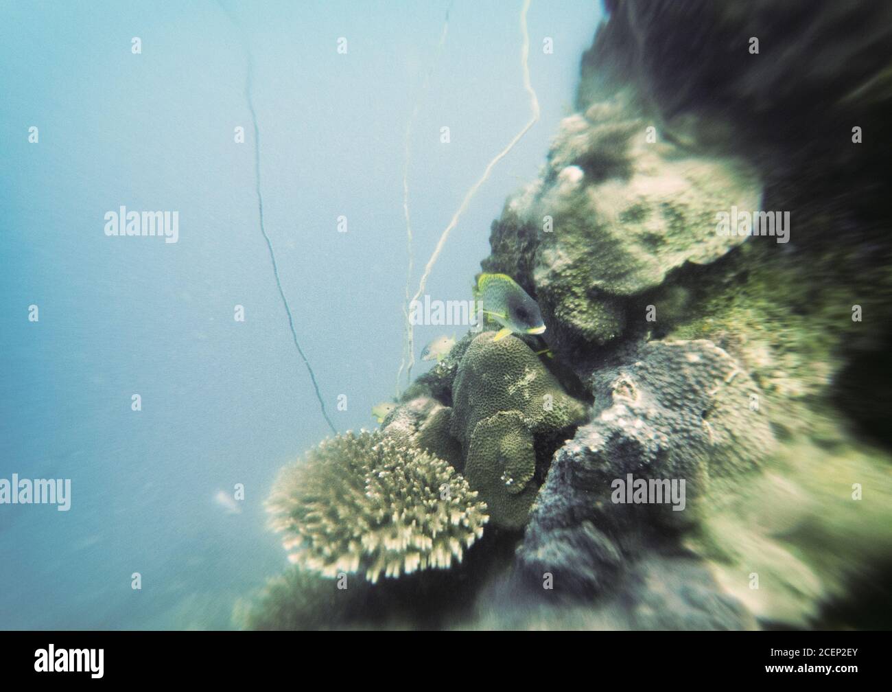 Coral Reef Landscape Tilt Shift Madagascar Stock Photo - Alamy