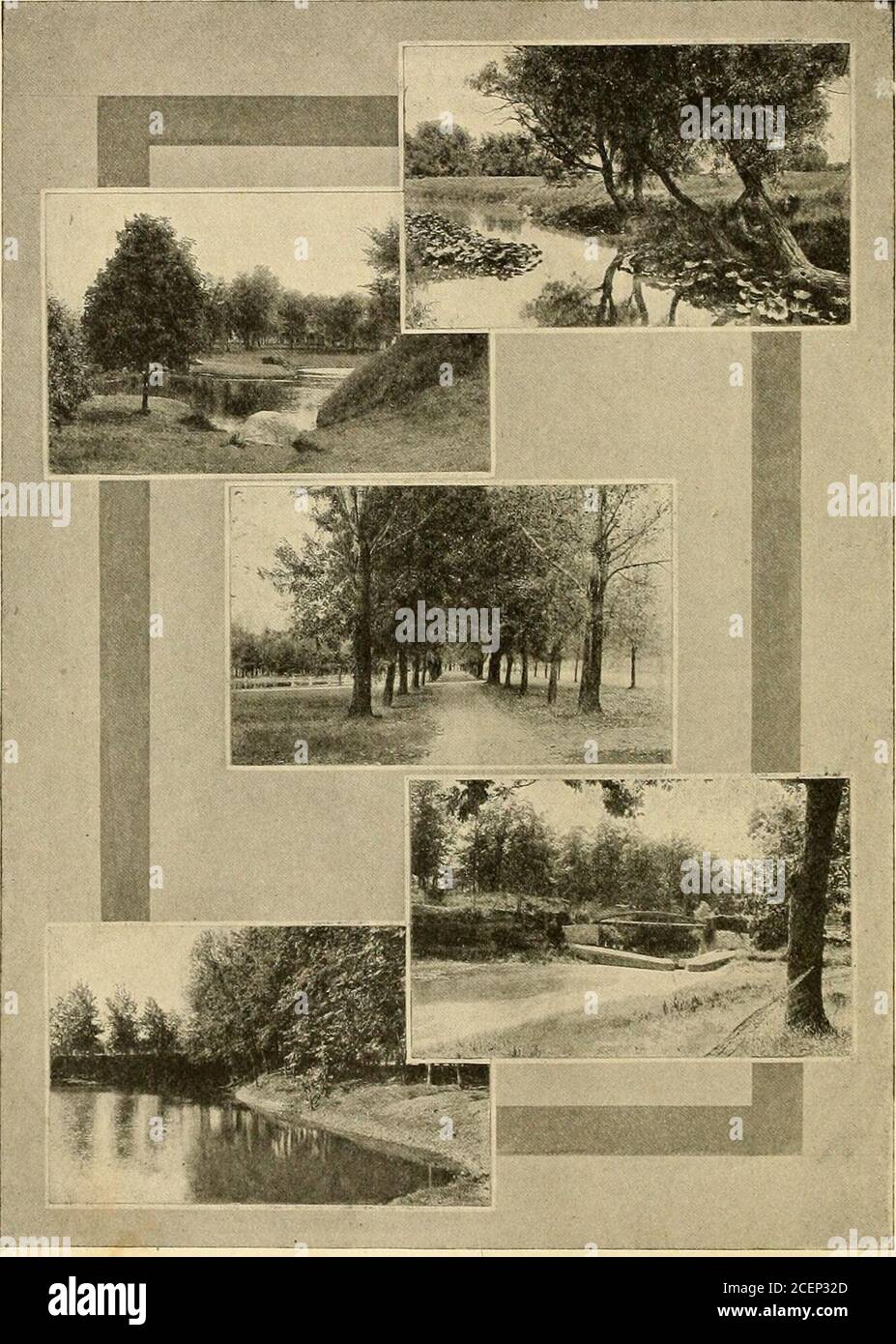 William blake newton hi-res stock photography and images - Alamy