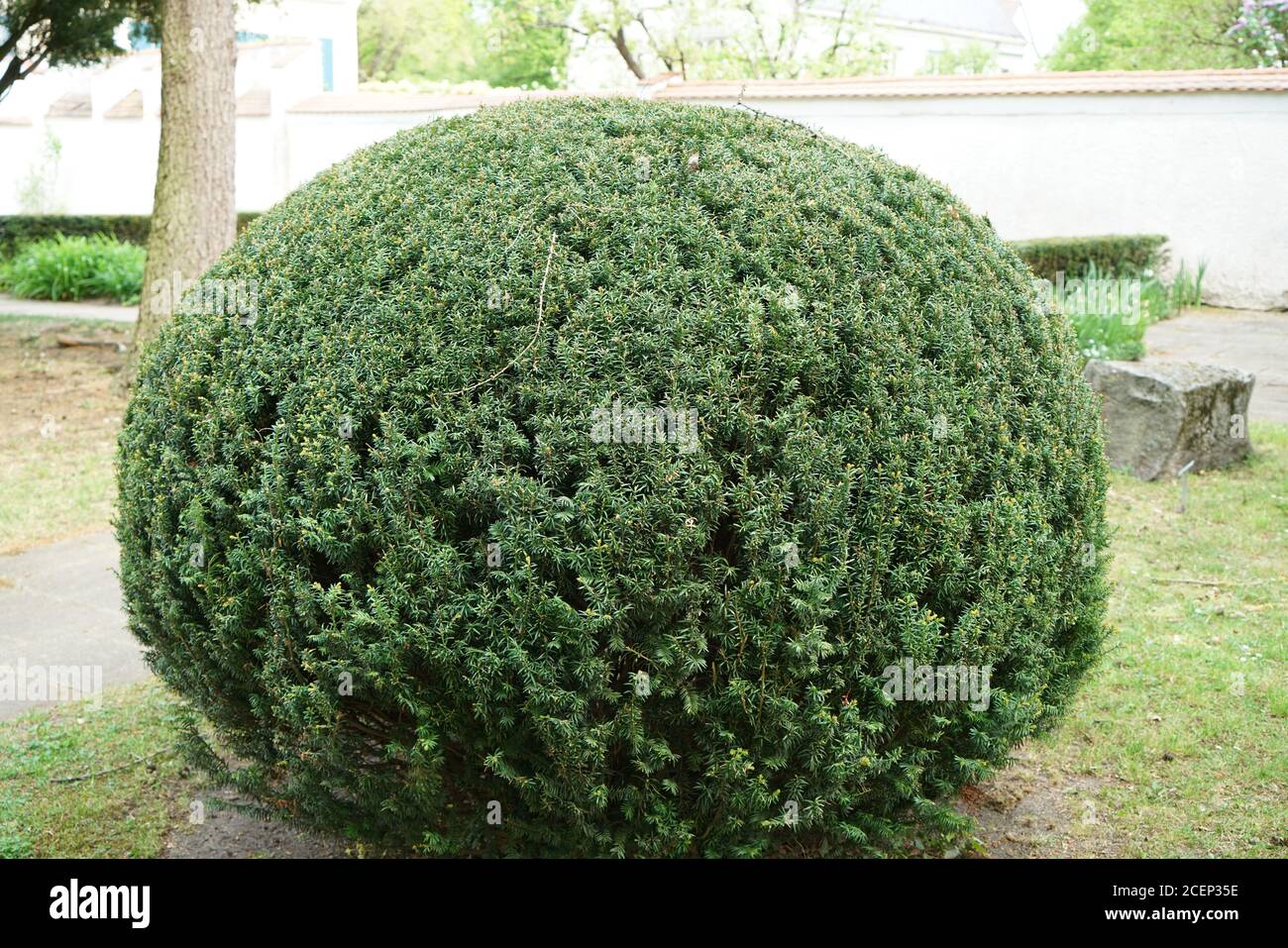 Round decorative hi-res stock photography and images - Alamy