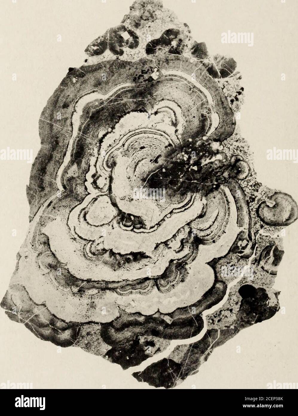 Bemrose and sons hi-res stock photography and images - Alamy