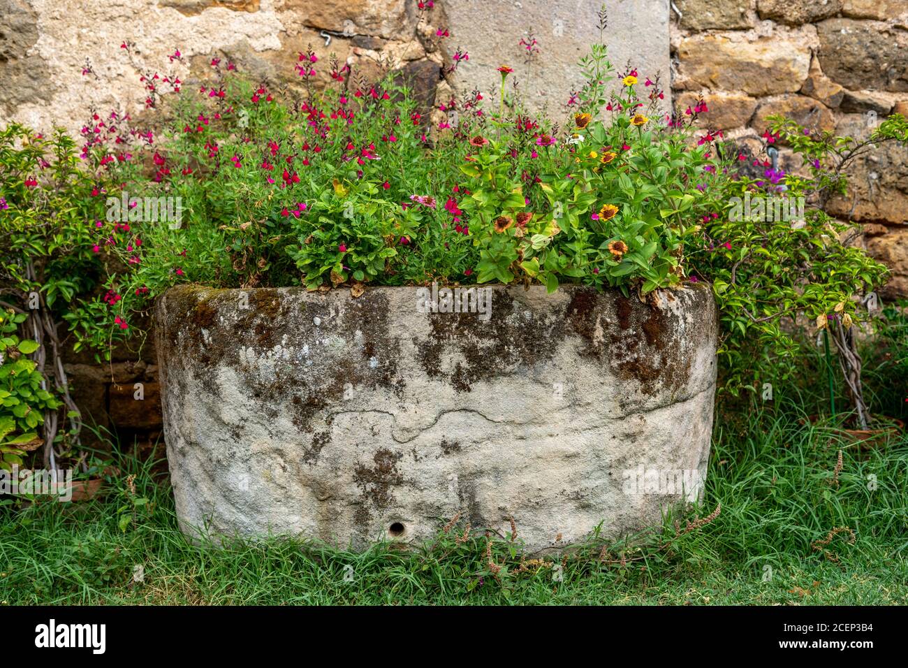 Round Flower Bed High Resolution Stock Photography and Images - Alamy
