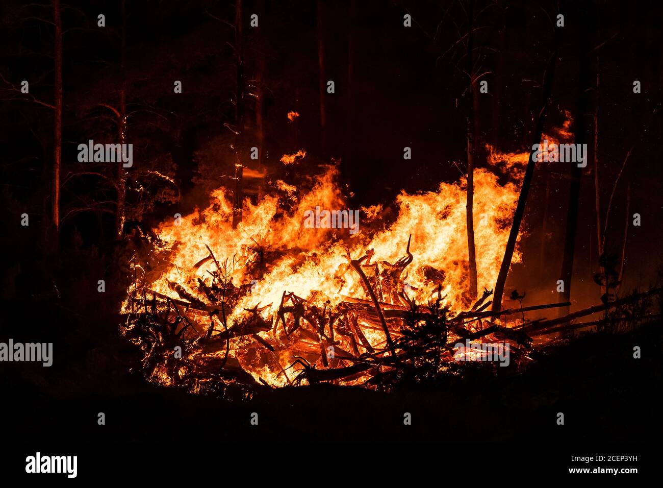 Big flames of forest fires at night. Intense flames from a massive ...