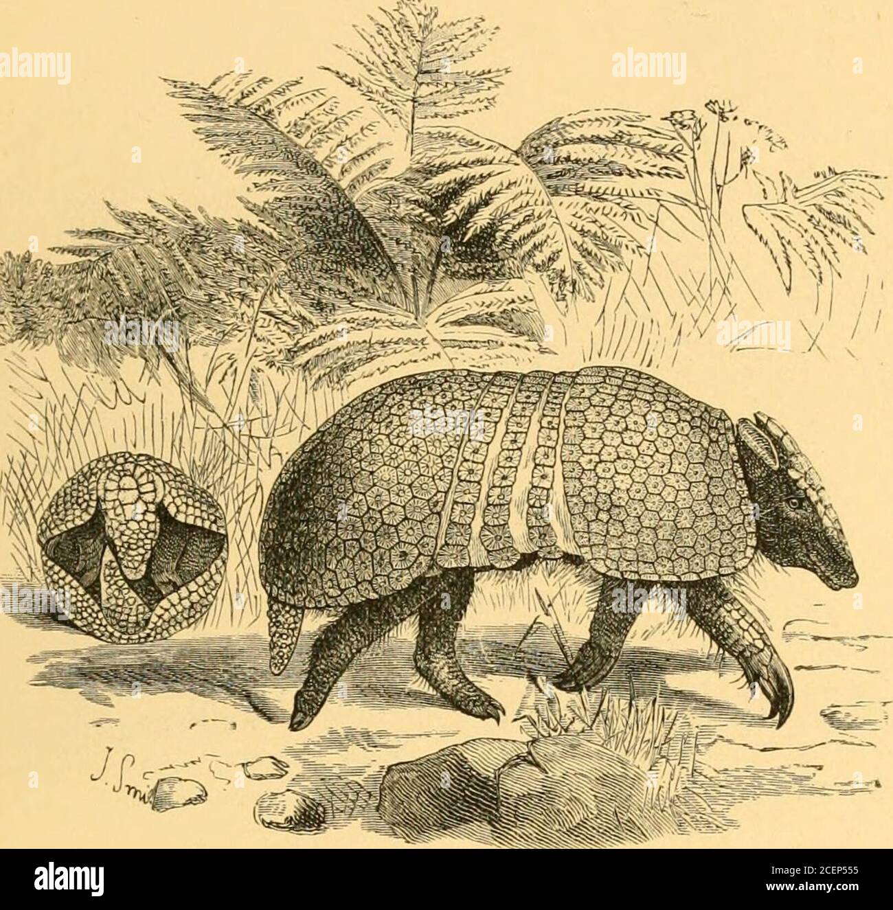 Onlyout hi-res stock photography and images - Alamy