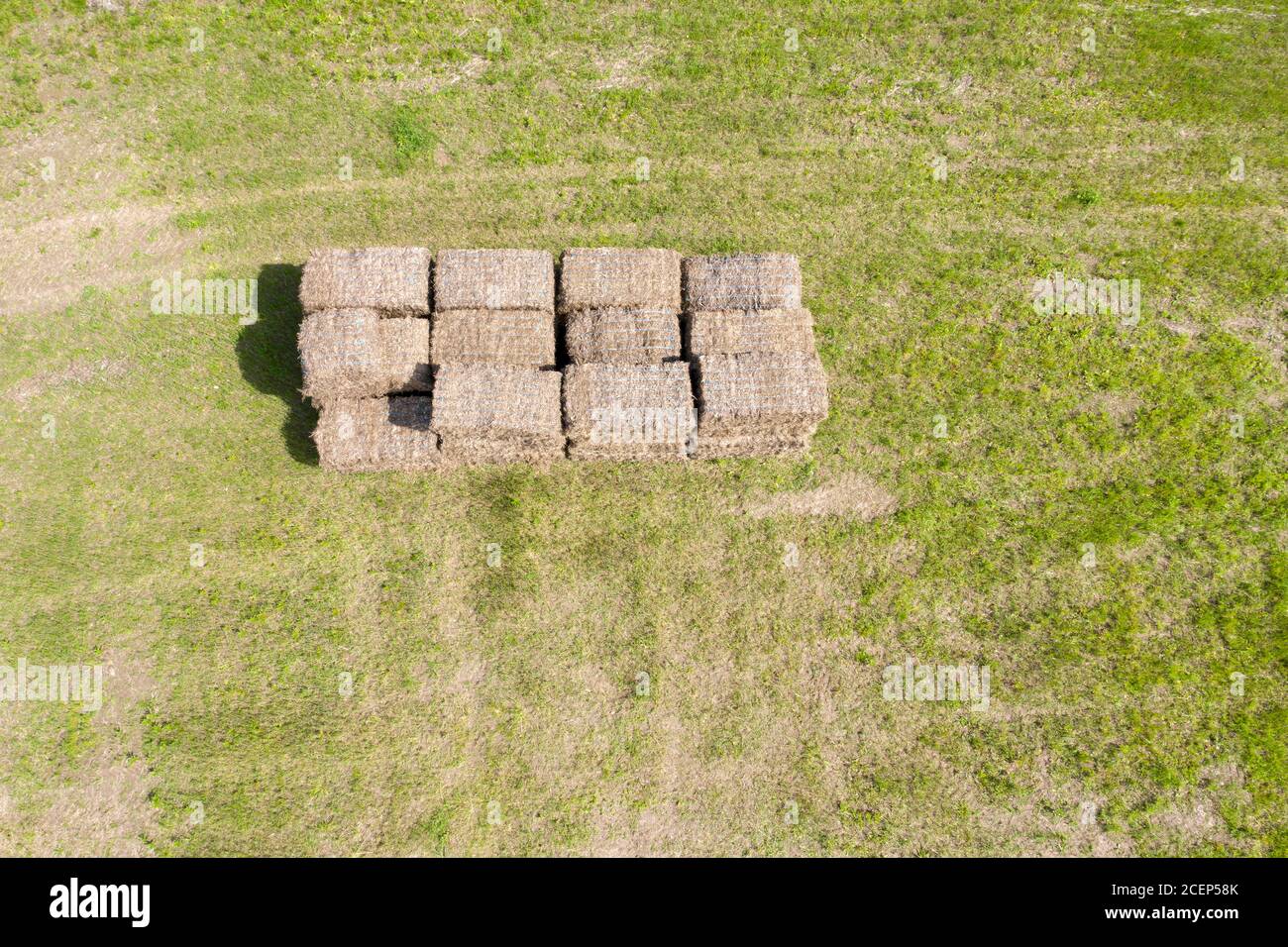 sown agricultural field, view from above Stock Photo - Alamy