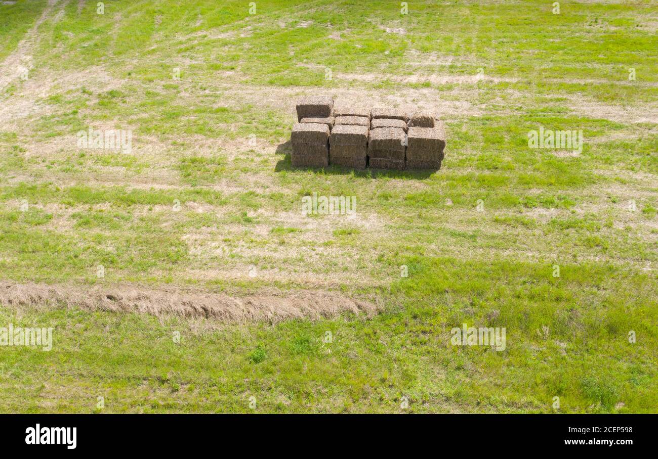 sown agricultural field, view from above Stock Photo - Alamy