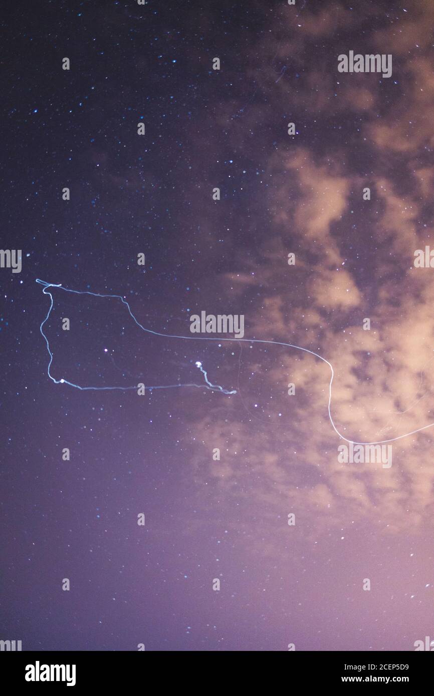 Vertical shot of an amazing starry sky above the shape of trees Stock ...