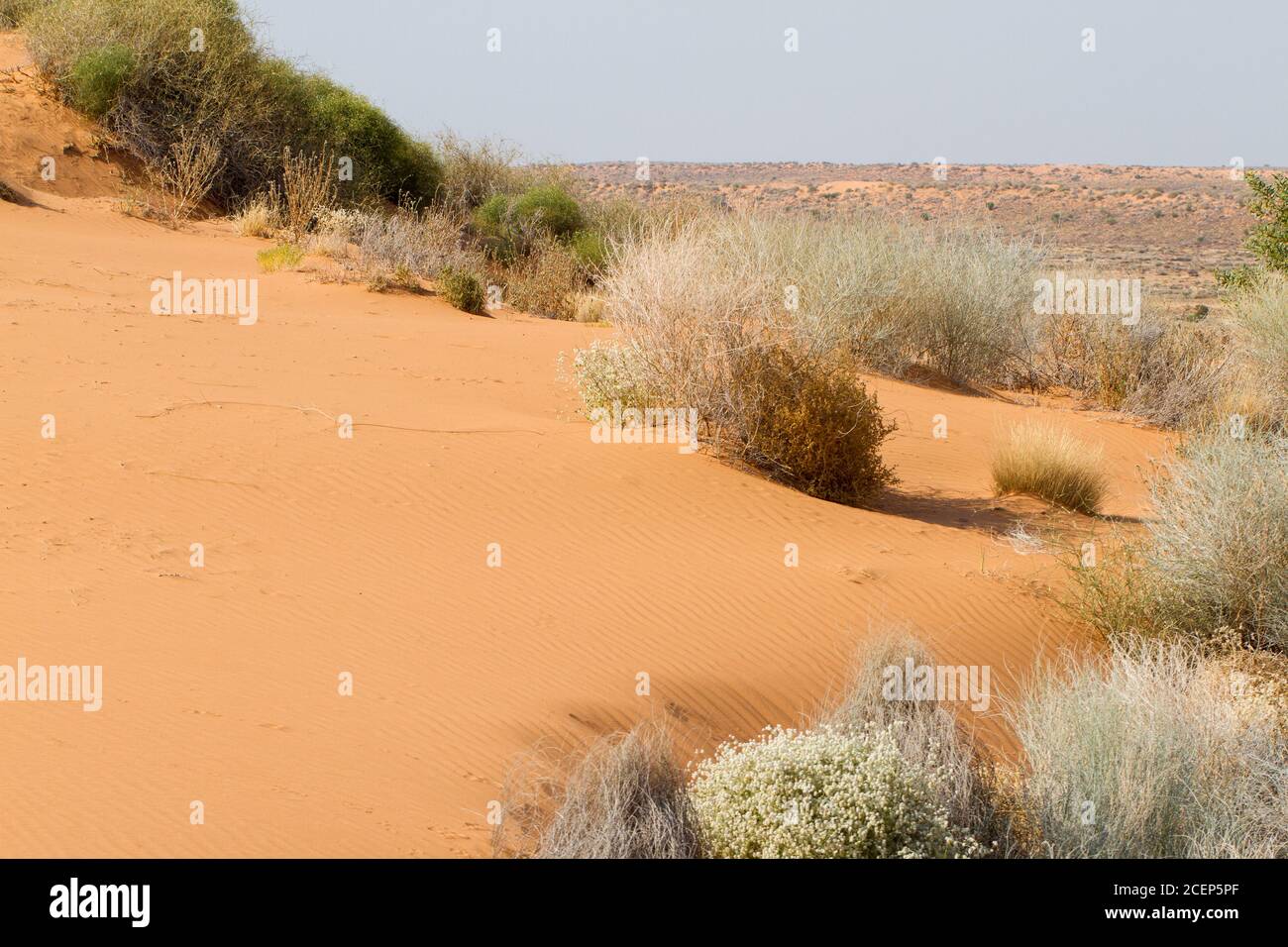 Outback sand hi-res stock photography and images - Alamy
