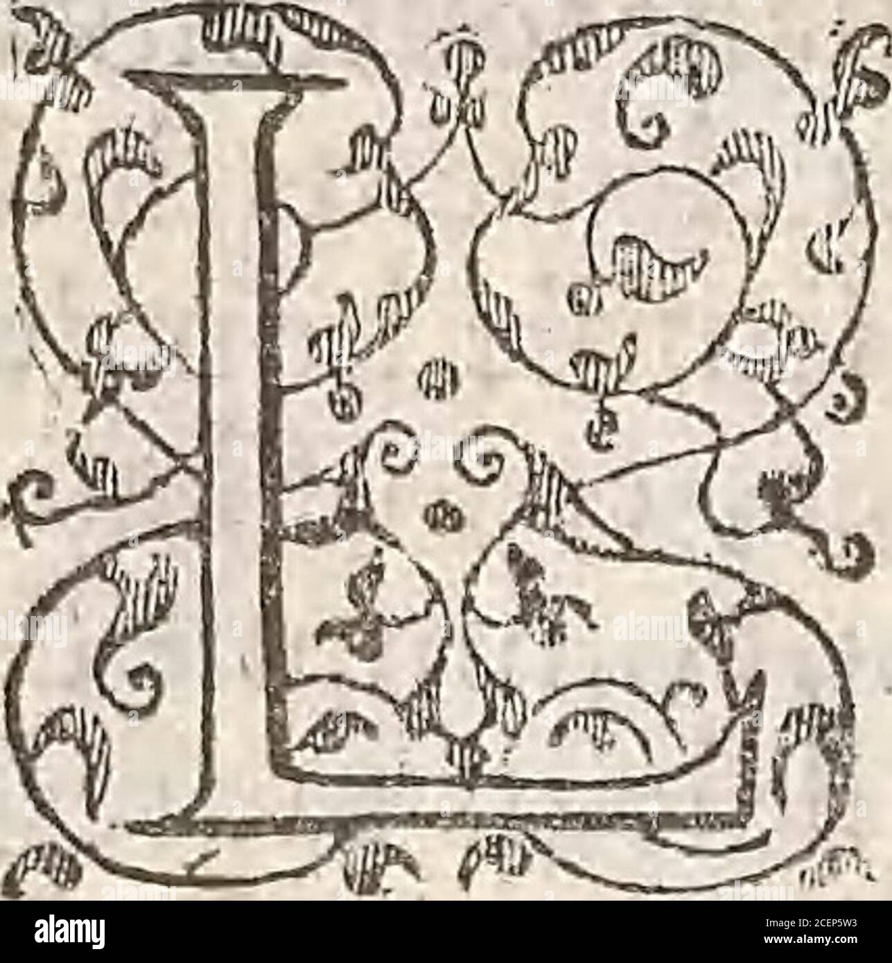 Fec font hi-res stock photography and images - Alamy