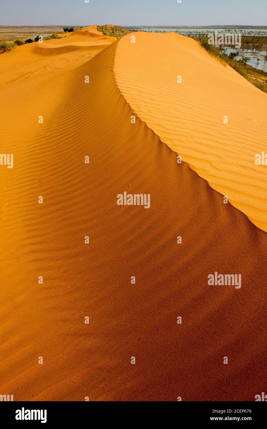 Red sand dune in Simpson Desert outback Queensland Australia Stock ...