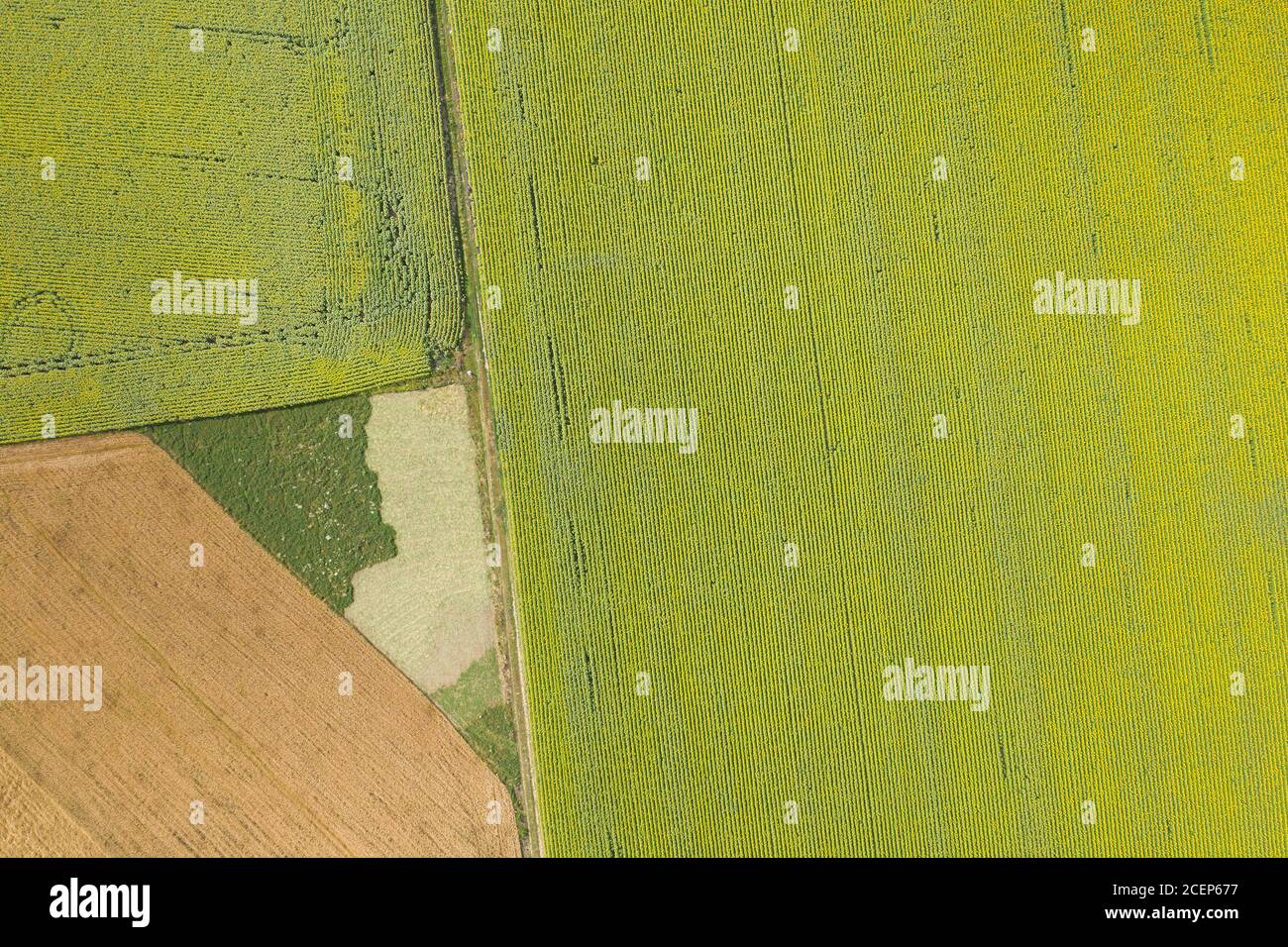 Oil Field, Birds Eye View High Resolution Stock Photography and Images ...
