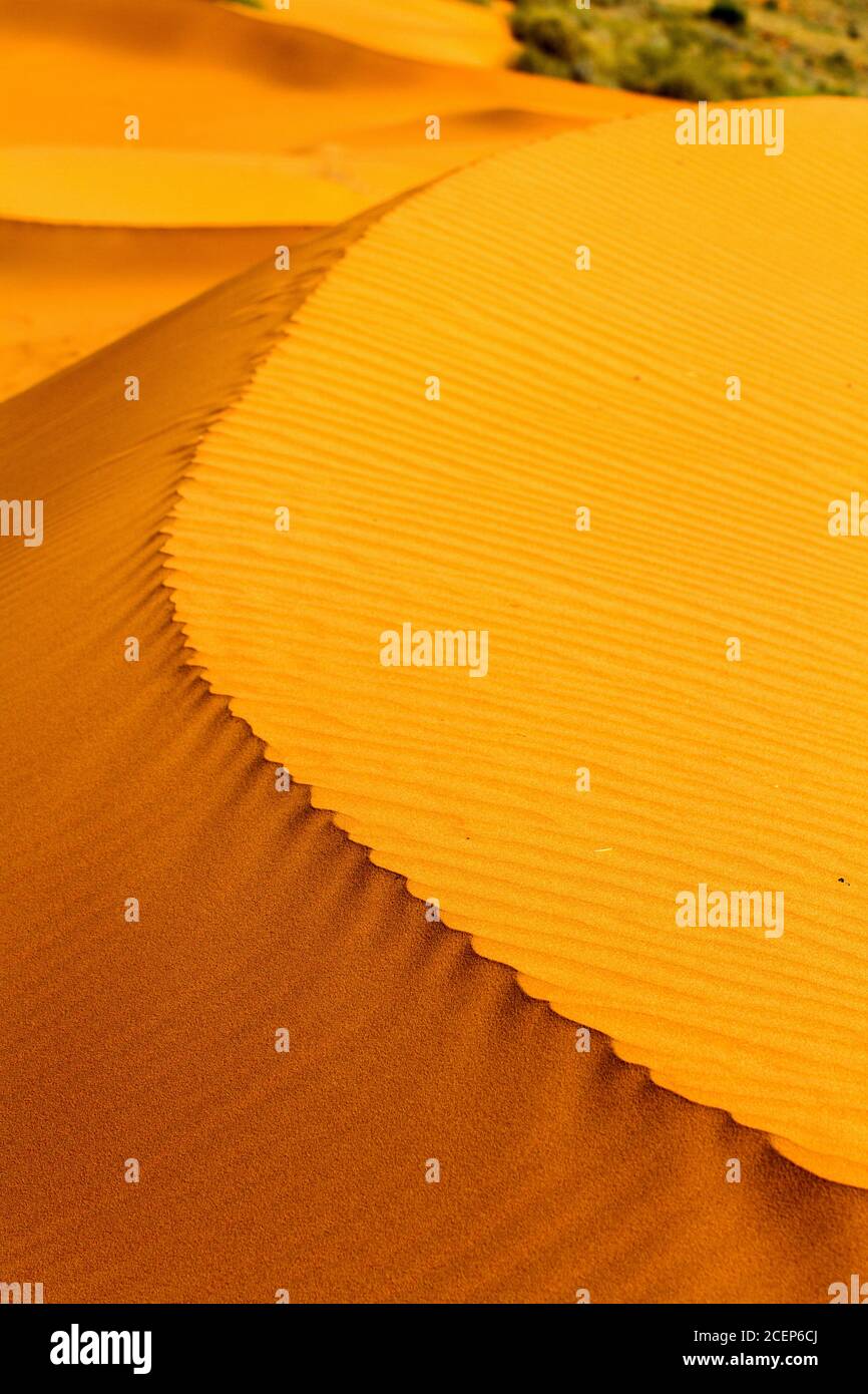 Red sand dune in Simpson Desert outback Queensland Australia Stock ...