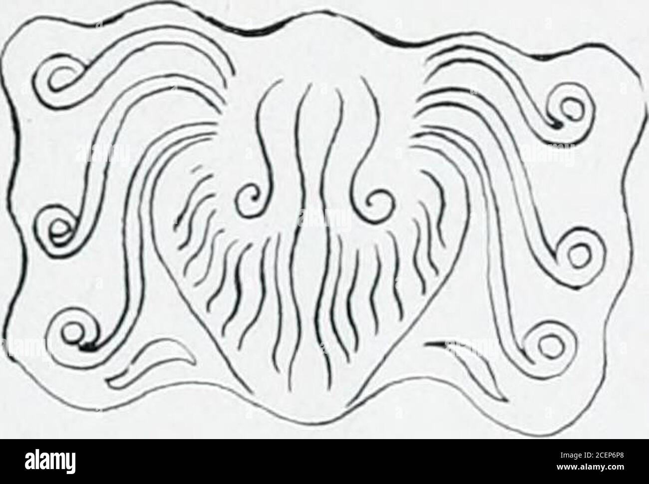 . The evolution of the dragon Stock Photo - Alamy