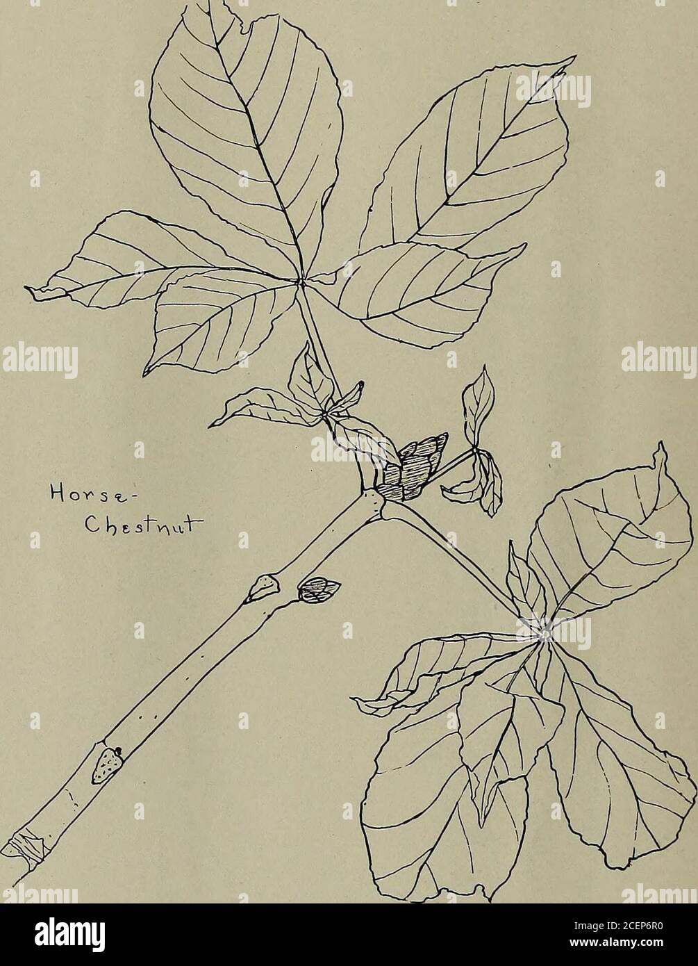 Brillaint colors hi-res stock photography and images - Alamy