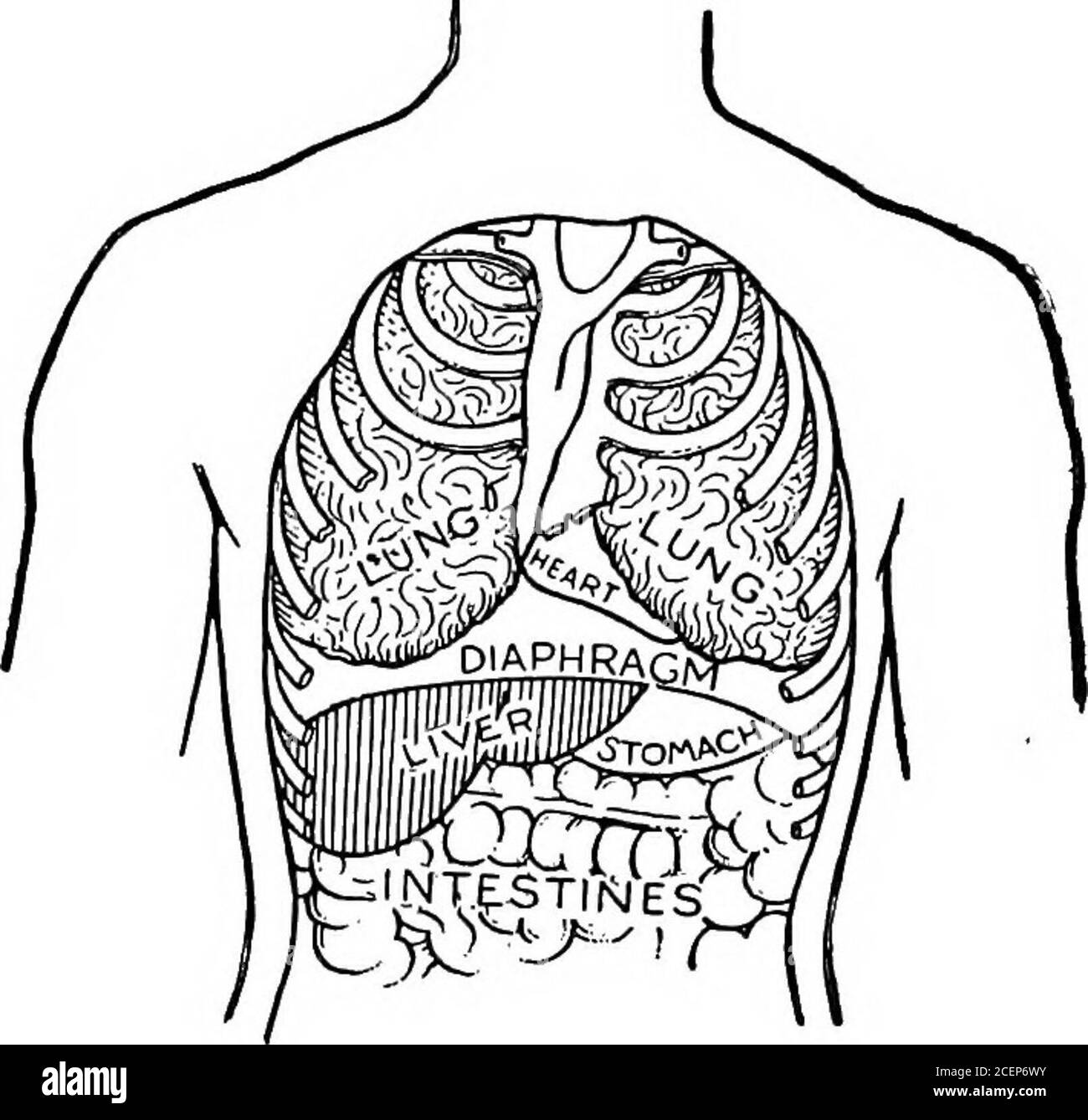 . Resonance in singing and speaking. r inspira-tion and another for ...