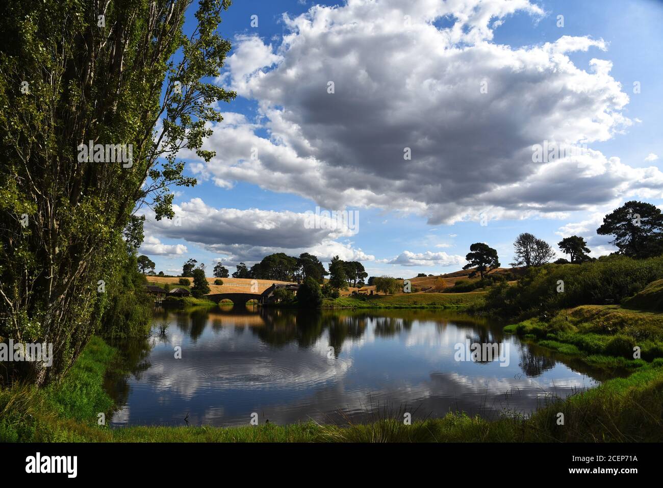 pool at hobbiton movie set,north island,new zealand Stock Photo - Alamy