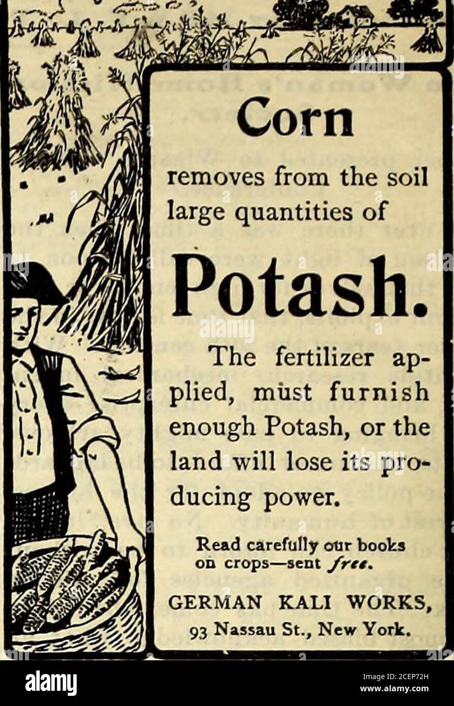 Septic wounds hi-res stock photography and images - Alamy