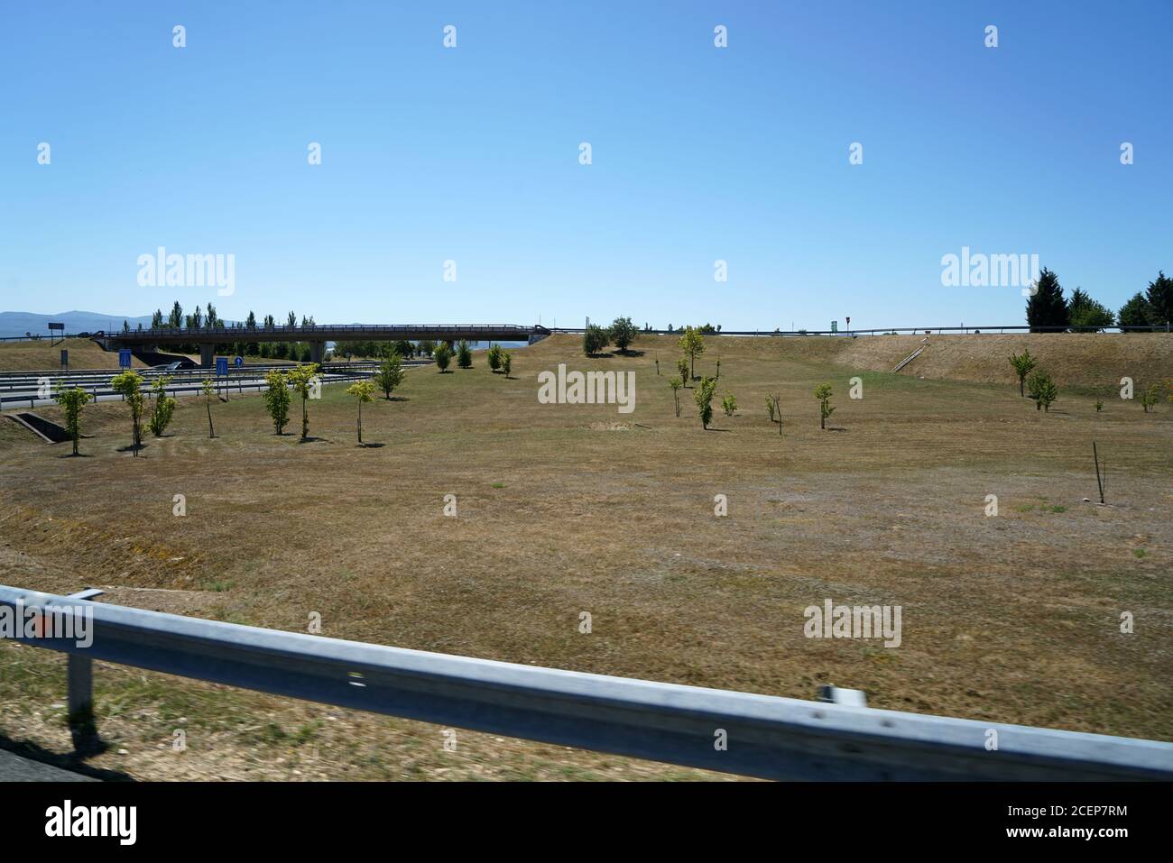 Rural dry field with trees Stock Photo - Alamy