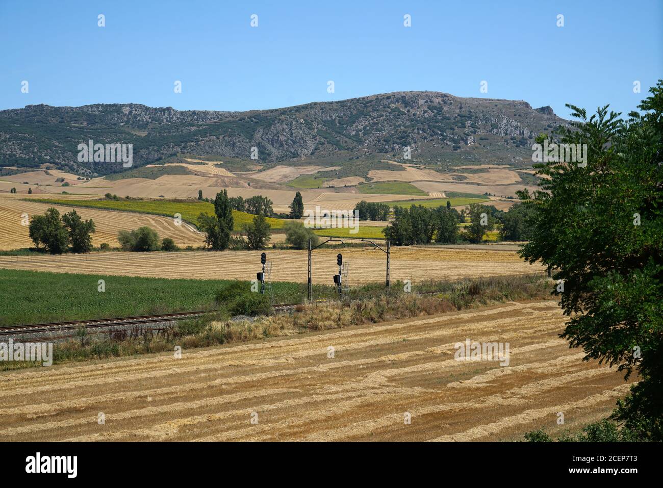 Rural dry field with trees Stock Photo - Alamy
