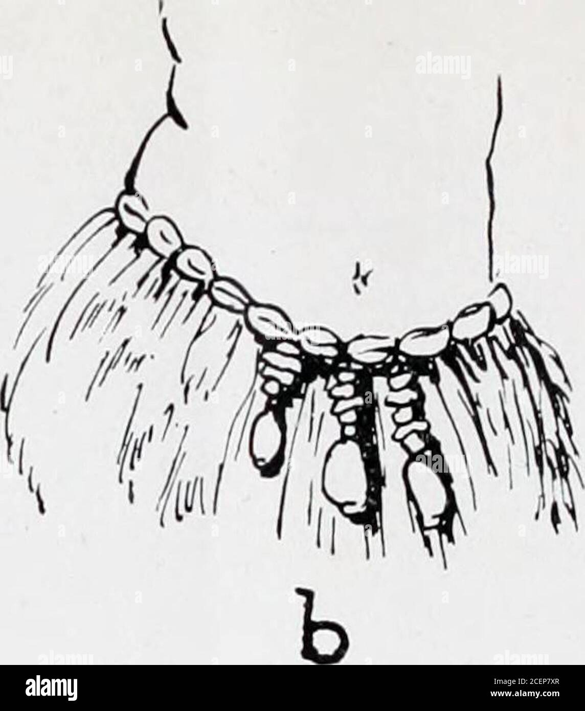 . The evolution of the dragon Stock Photo - Alamy