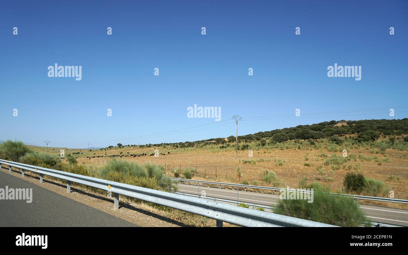 Rural dry field seen through a road Stock Photo - Alamy