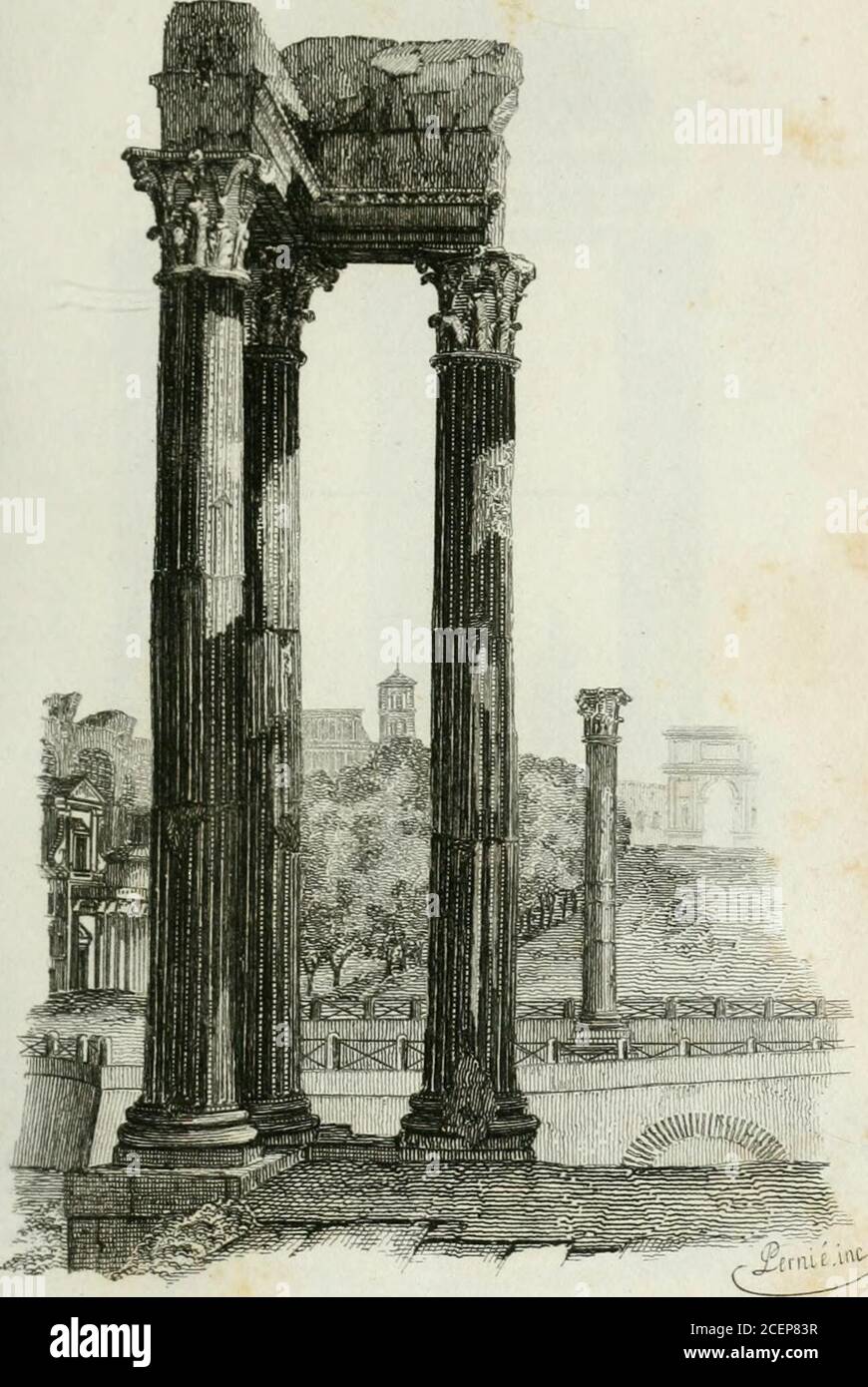 . New guide of Rome, Naples and their environs. preserved, and onblocks ...