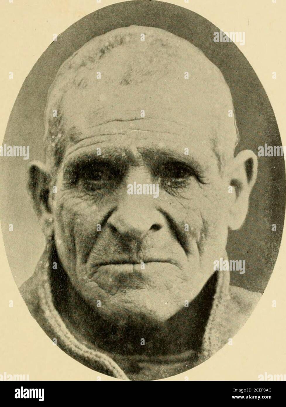 Cesare lombroso hi-res stock photography and images - Alamy