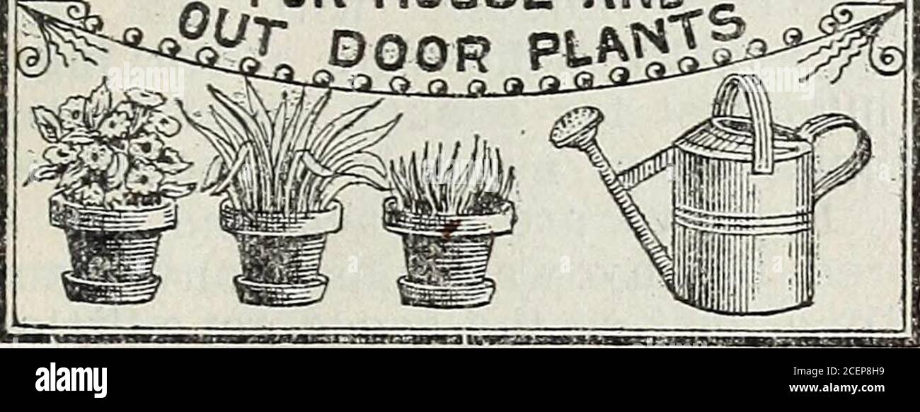 50 states package hi-res stock photography and images - Alamy