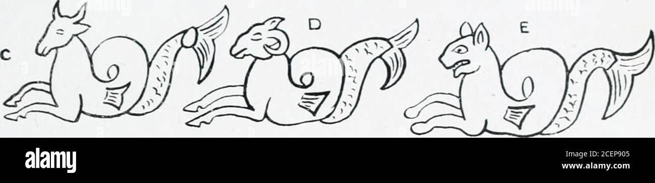 . The evolution of the dragon Stock Photo - Alamy