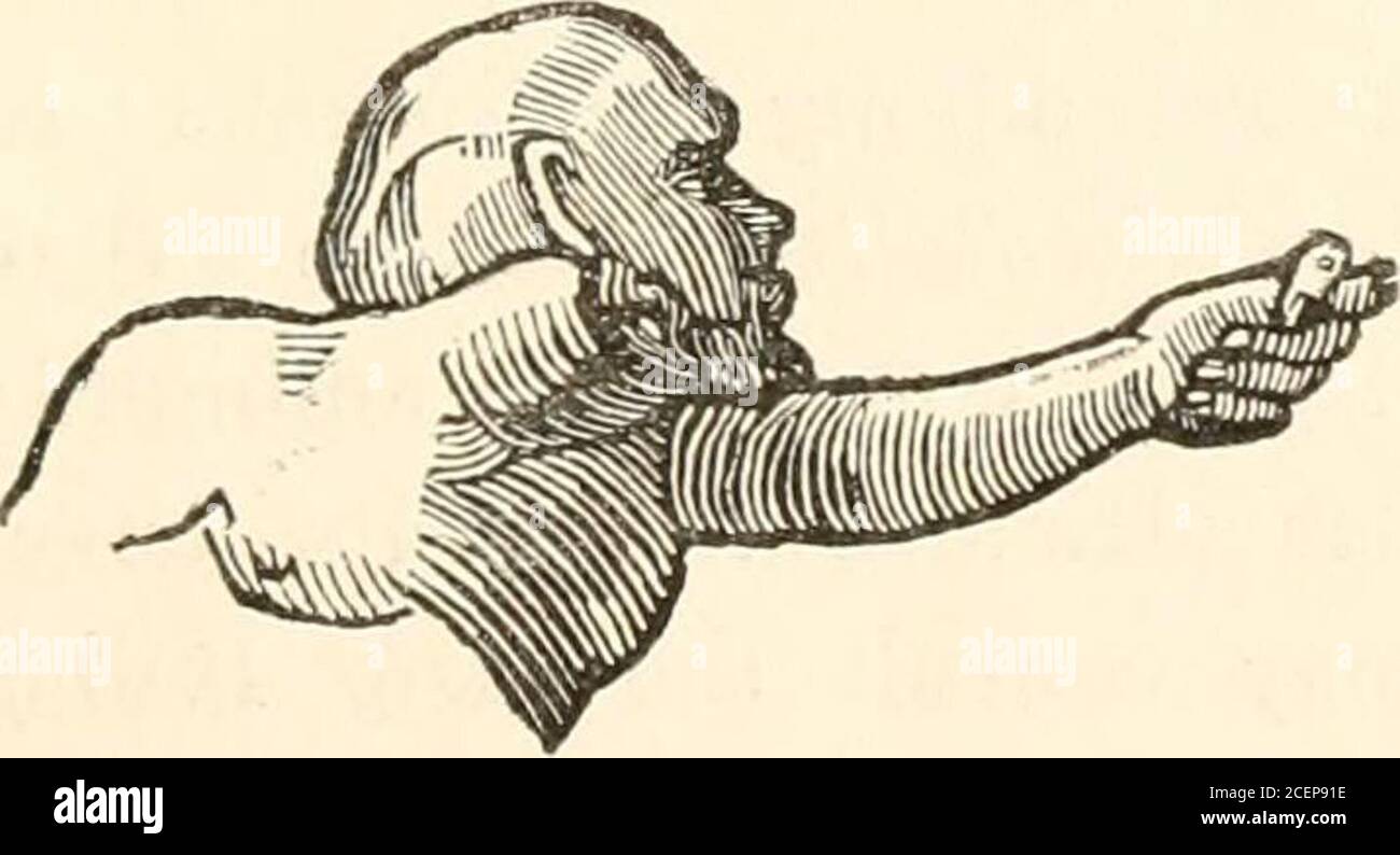 . Illustrations of Shakespeare and of ancient manners : with ...